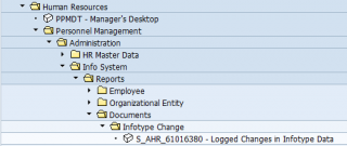 HCM Infotype Changes Log (Infotypes Logging) - Free SAP Online Training Tutorial